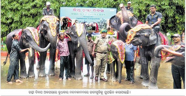 World Elephant Day celebrated in Nandankanan Zoo Bhubaneswar - Bhubaneswar Buzz
